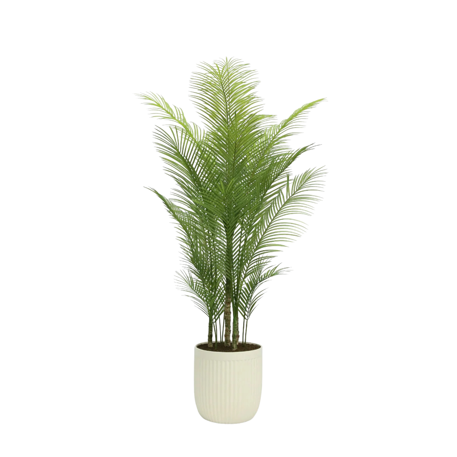 CGH - 6.5 ft Lifelike Palm Tree – Liquidation125Plus